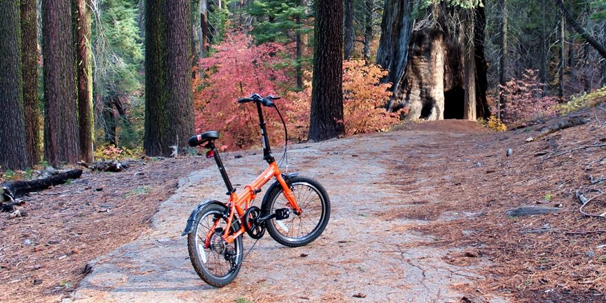 Top 10 Tips for Fall Riding on Your ZiZZO – ZiZZO Folding bike