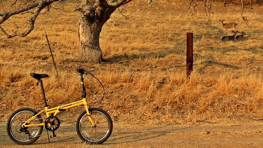 ZiZZO Owners Share Their Pride – ZiZZO Folding bike